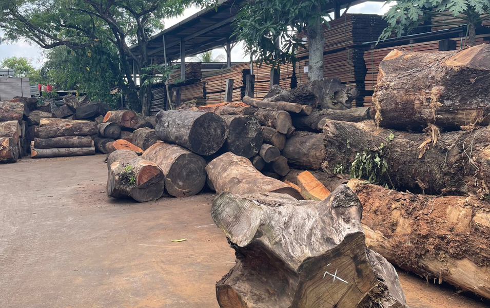 18 Types of Furniture Wood to Create a Muji-Inspired Home — Timber Actually