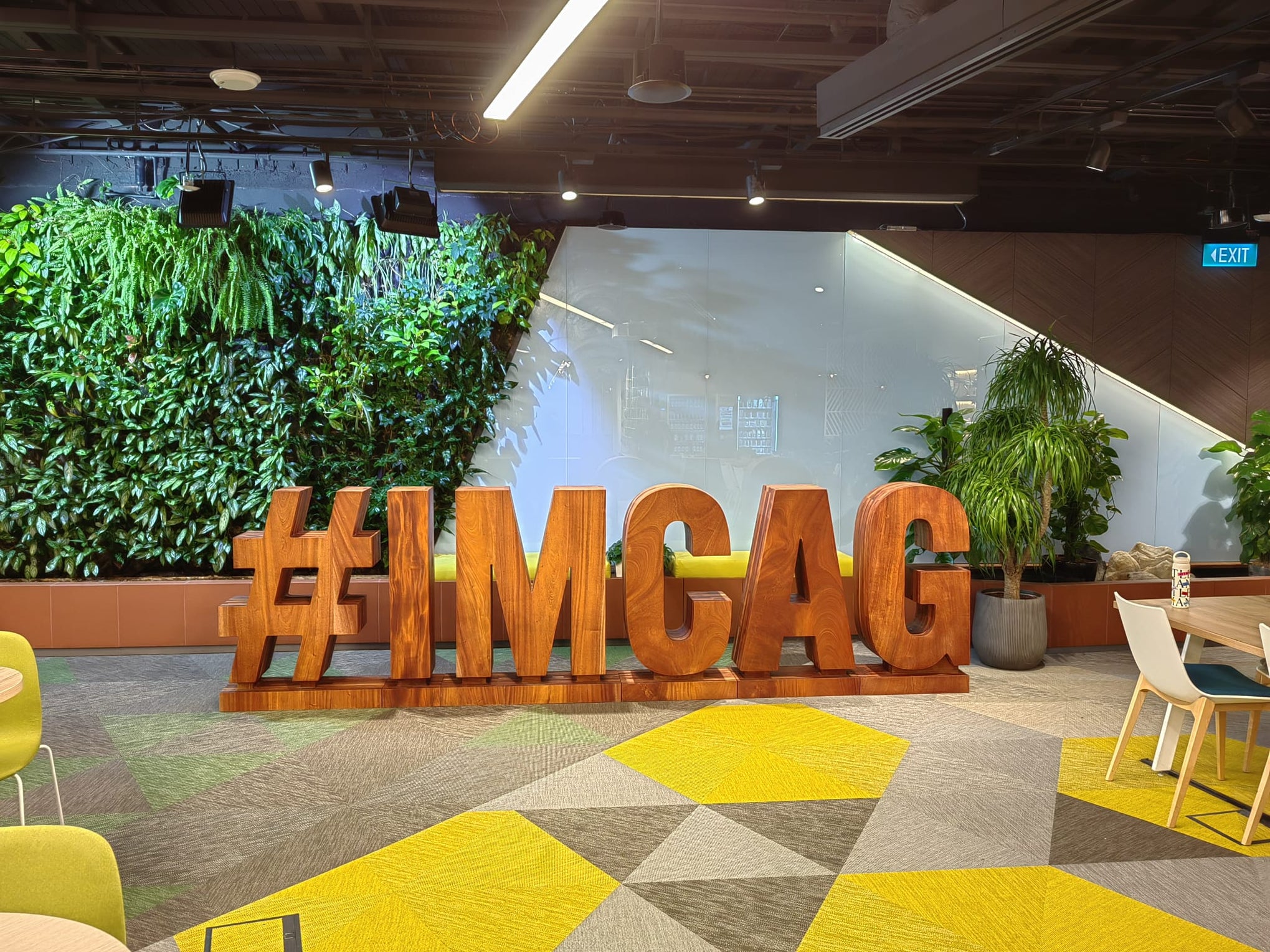 Timber & Wood Supplier in Singapore | Timber Actually